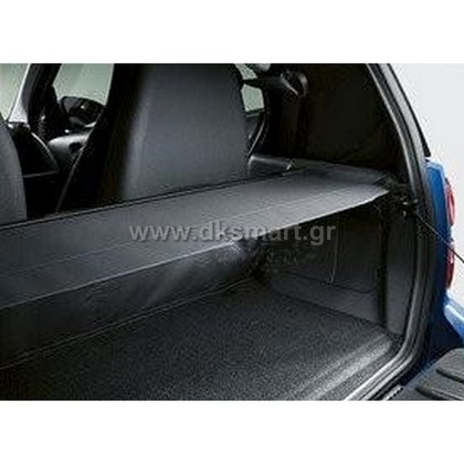 Smart 451 1000cc